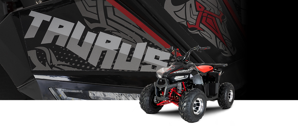 Buggy&Cia - Buggys, Quadriciclos, Mini Veículos e Scooters!